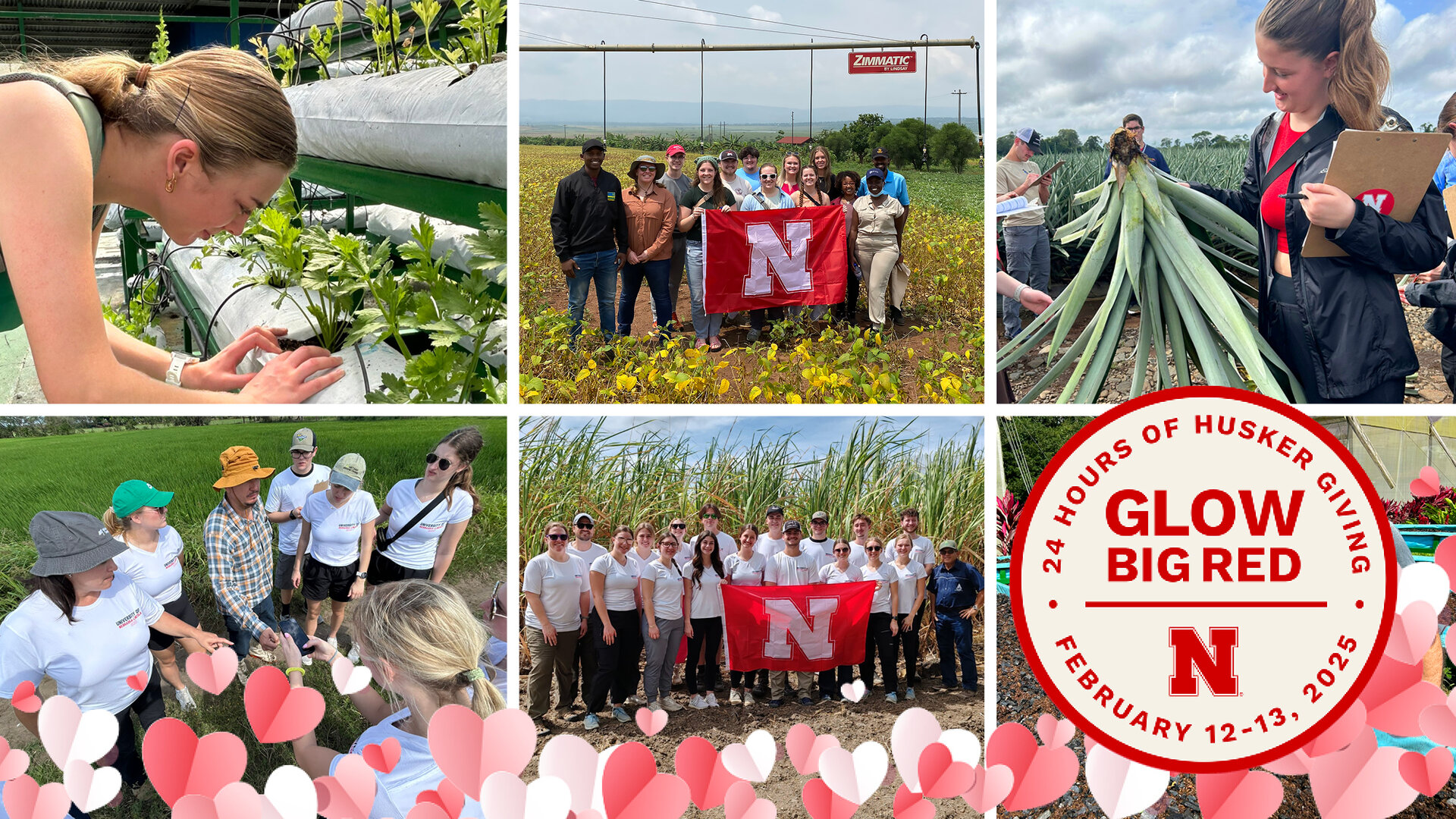 Department of Agronomy and Horticulture | Nebraska