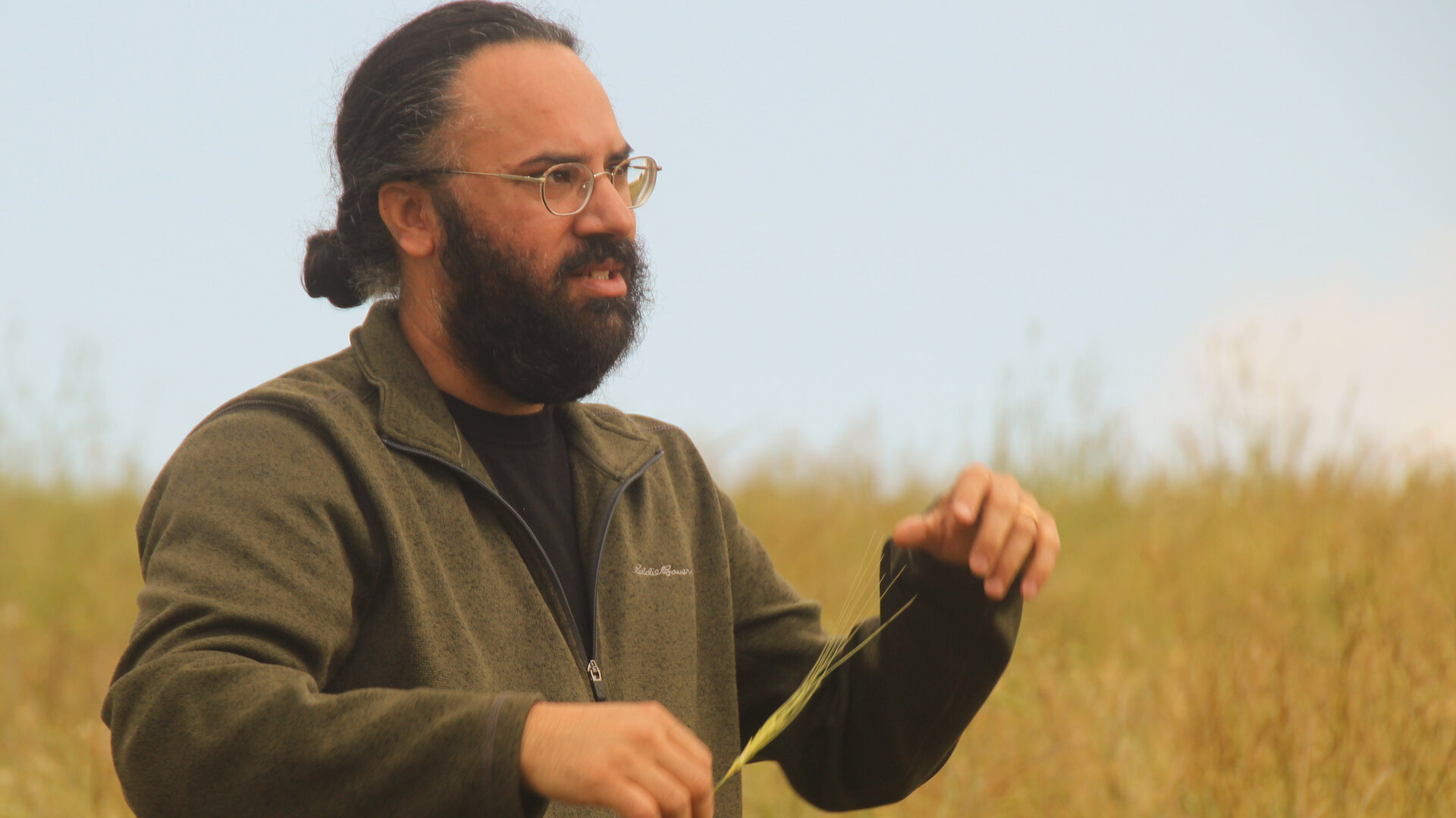 Walia awarded Heuermann Chair designation | Department of Agronomy and ...