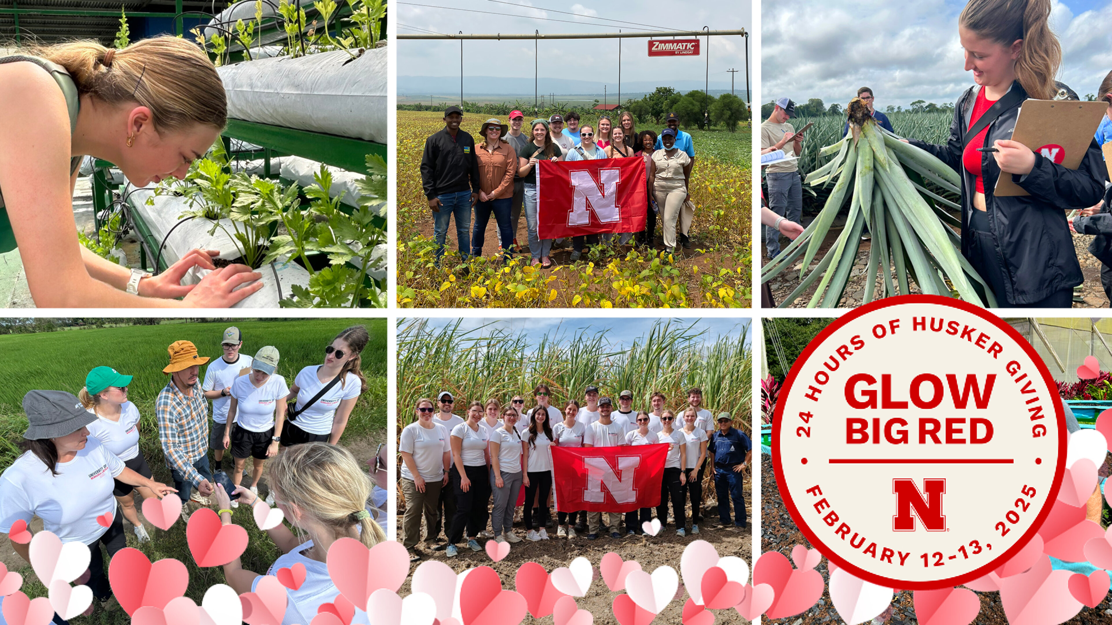 Department of Agronomy and Horticulture | Nebraska