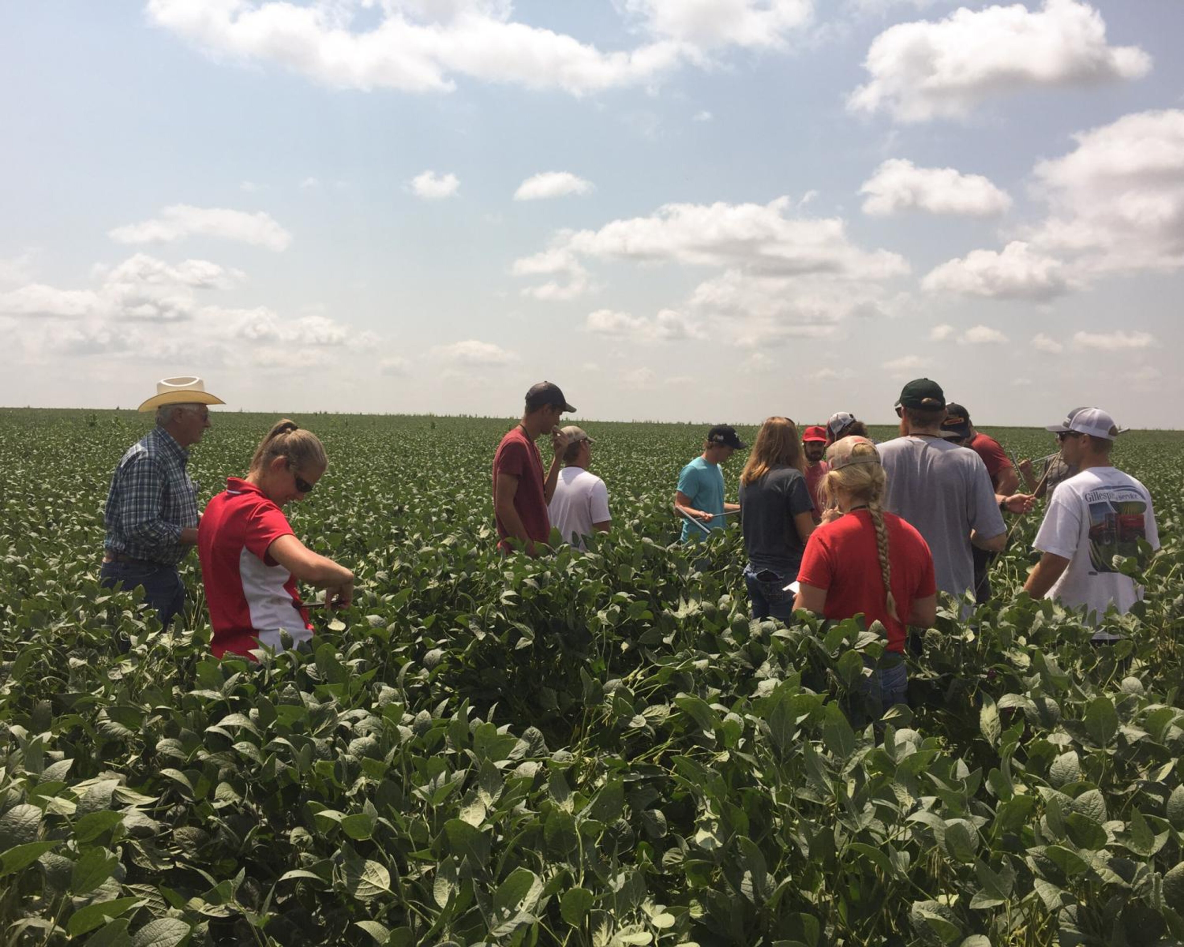 Resilient Cropping Systems Lab – Teaching | Department of Agronomy and ...